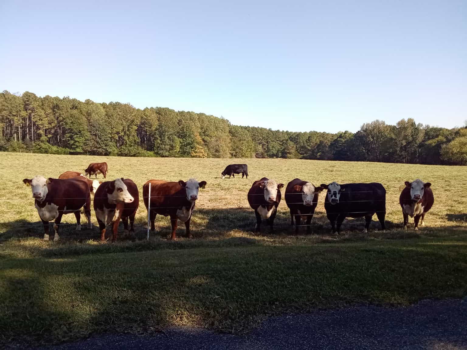 The Big Red Tent at BASC 2022 - BRAG - Bicycle Ride Across Georgia
